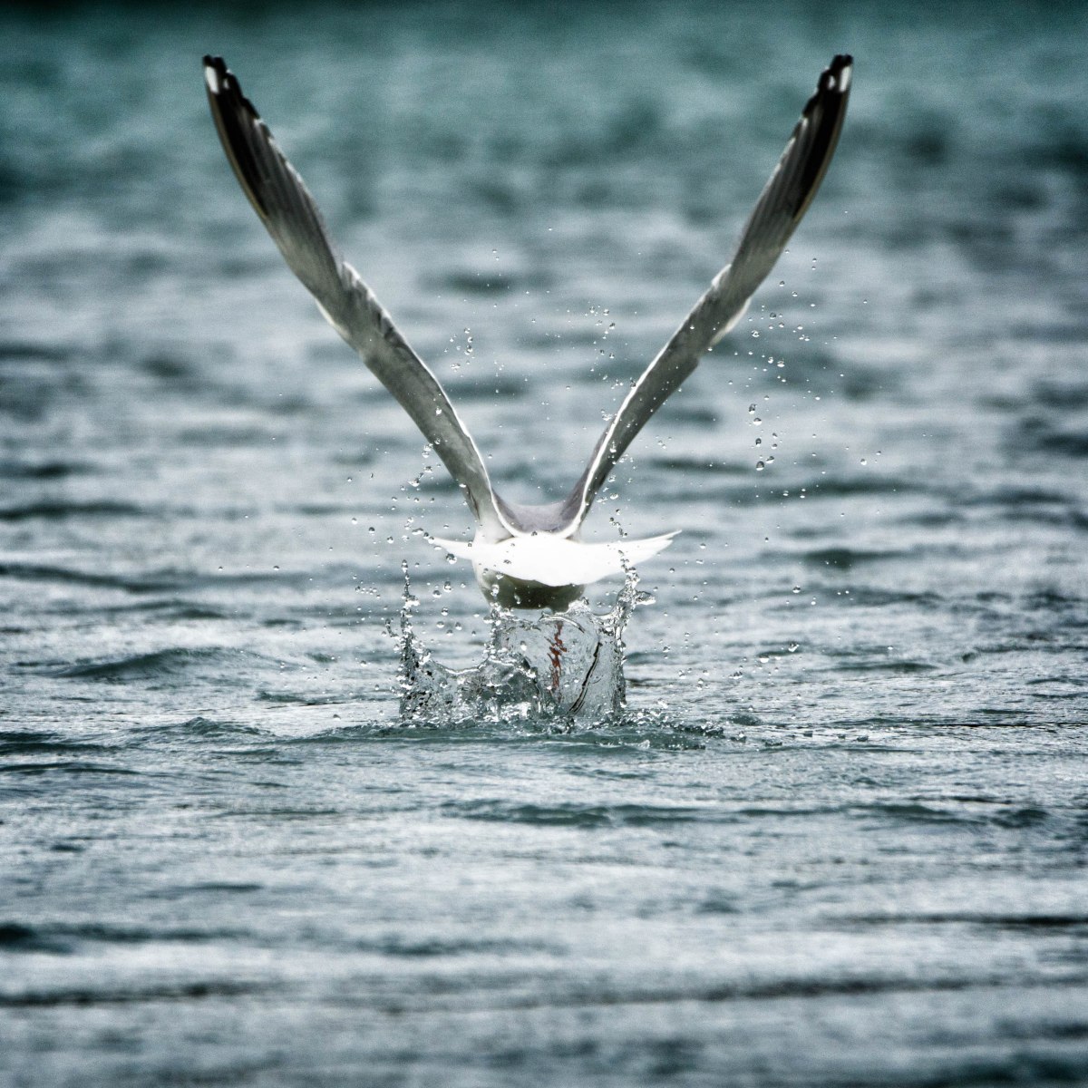 Launching … | Garber Geektography