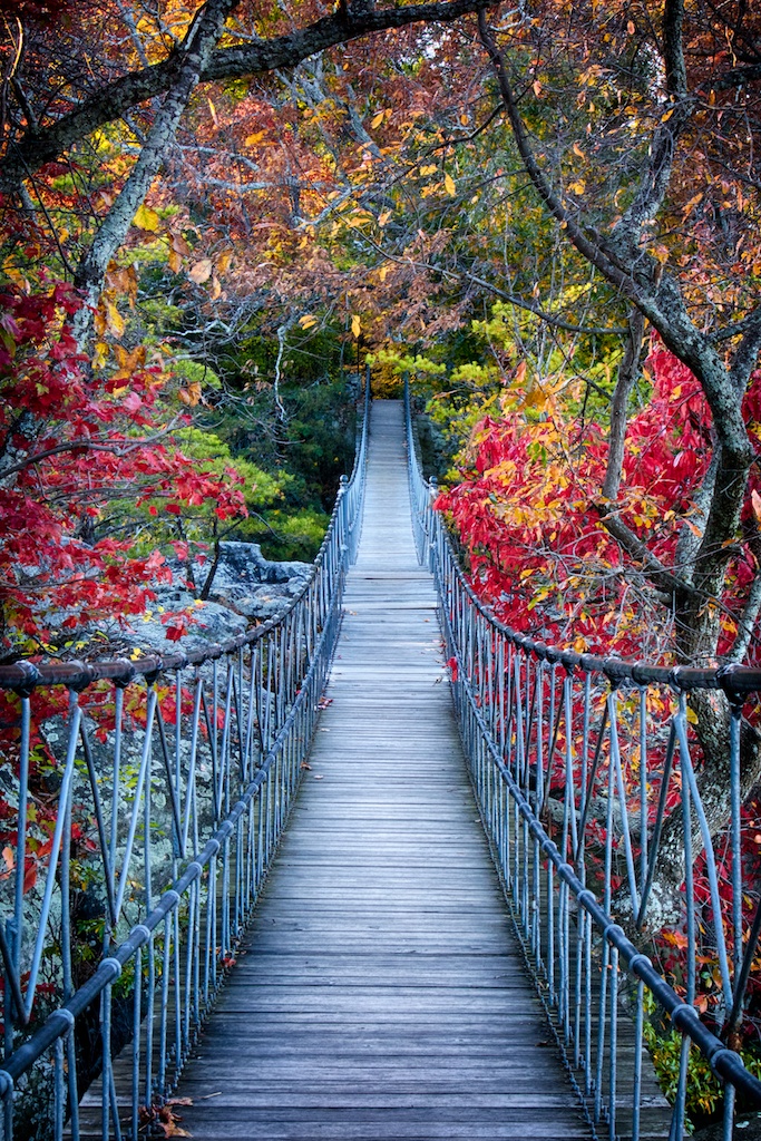 It’s Finally Fall! | Garber Geektography